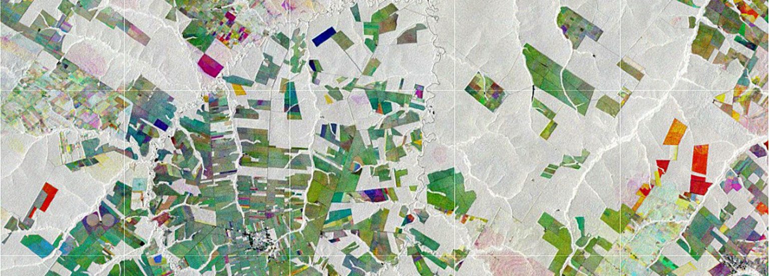 Waldmonitoring und Fernerkundung | RSS